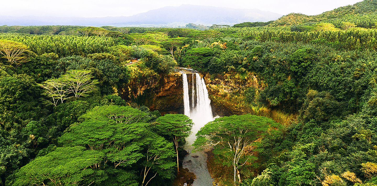 Exploring Congo's Natural Wonders - Green Congo